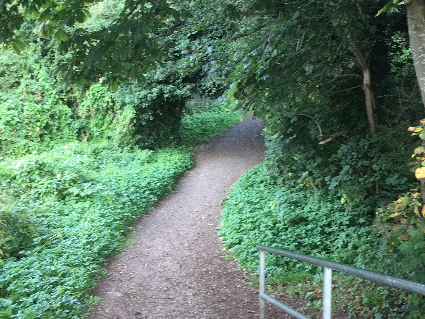 Briefing: Tackling Loneliness and Isolation in Wales - December 2023 ...